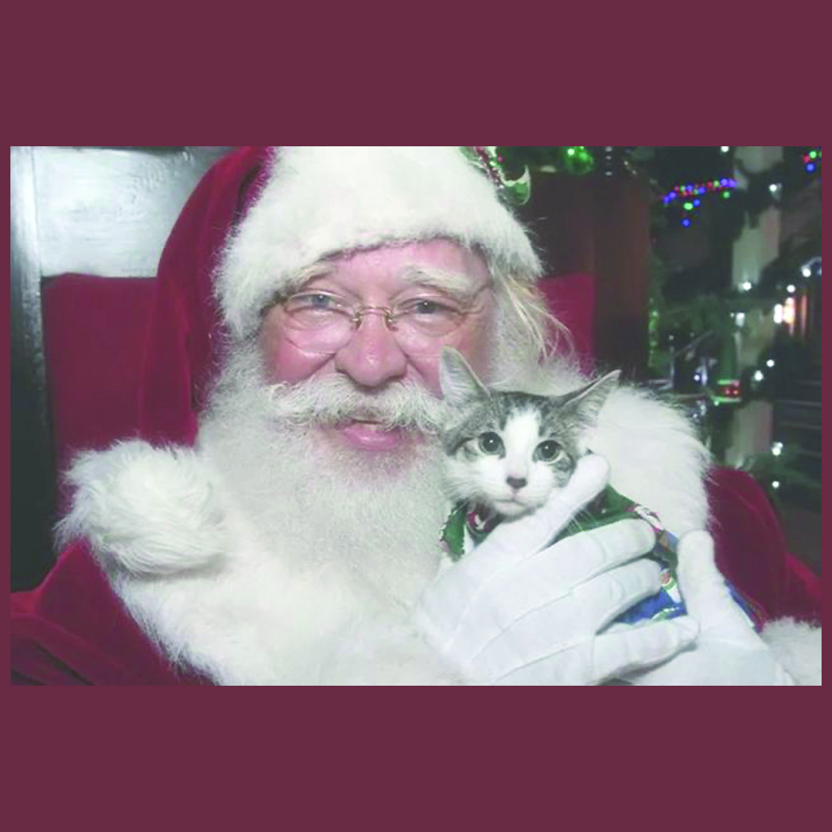 Pet Pictures with Santa - Mallory Square