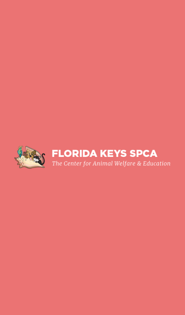 Florida Keys SPCA: Spring Social - Mallory Square